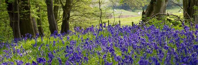 Tamworth cottage - Great Prawls Farm