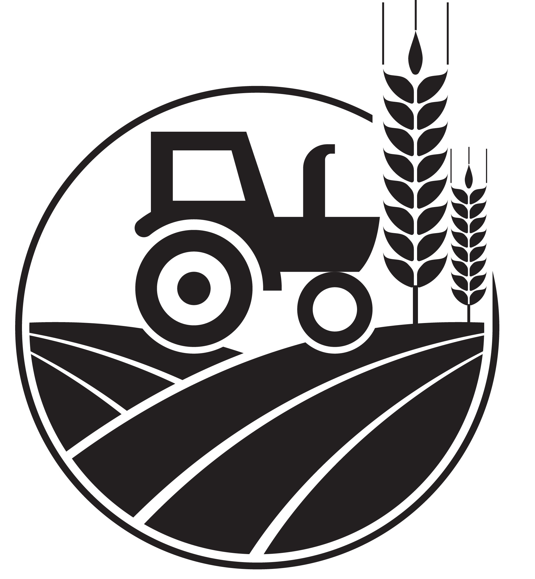 Self guided farm walks - Great Prawls Farm